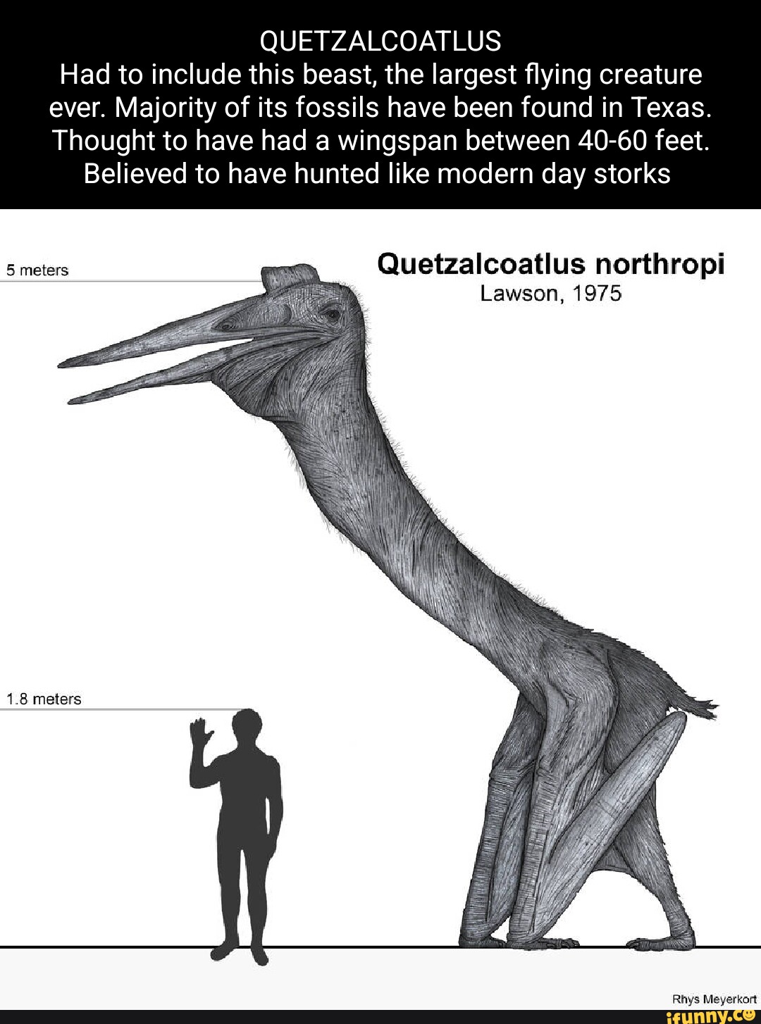 QUETZALCOATLUS Had to include this beast, the largest flying creature ever. Majority of its ...