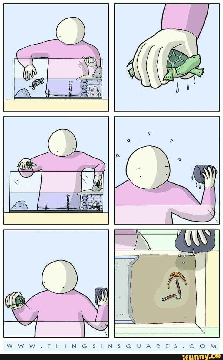 Tmntmeme memes. Best Collection of funny Tmntmeme pictures on iFunny