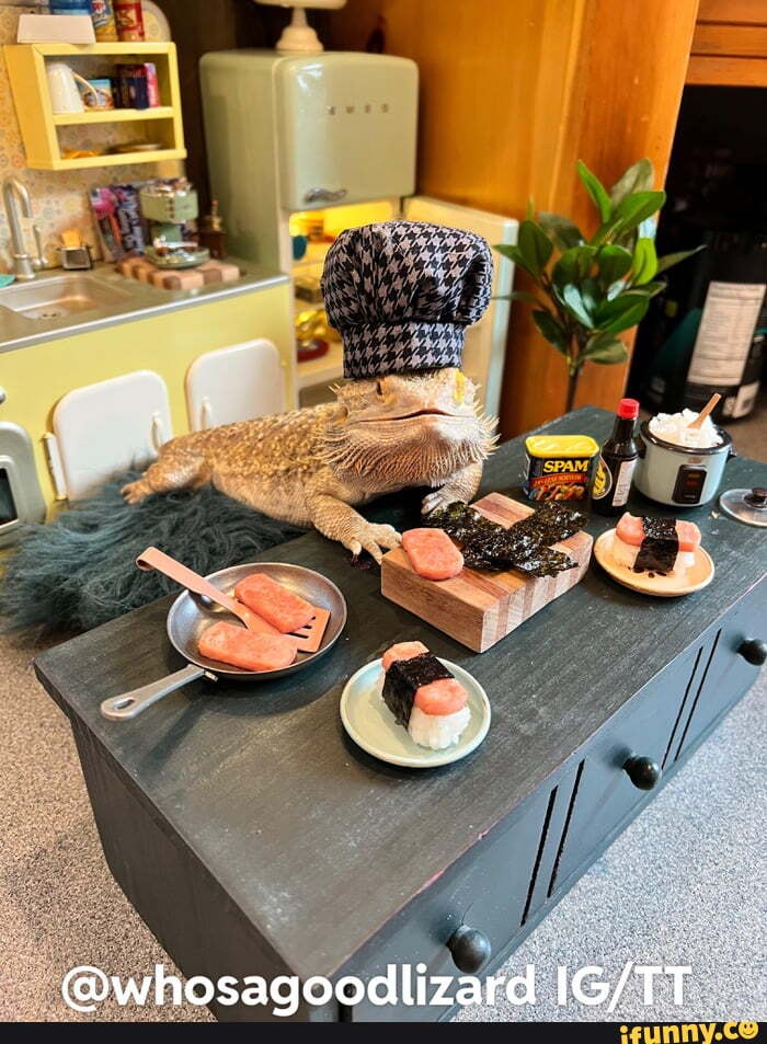 Musubi memes. Best Collection of funny Musubi pictures on iFunny