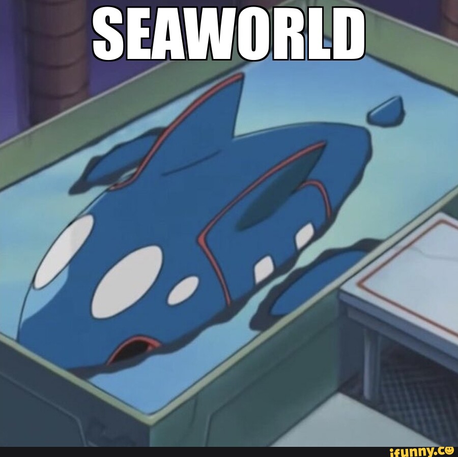 Seaworld memes. Best Collection of funny Seaworld pictures on iFunny