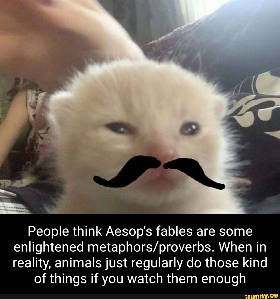 Aesops memes. Best Collection of funny Aesops pictures on iFunny