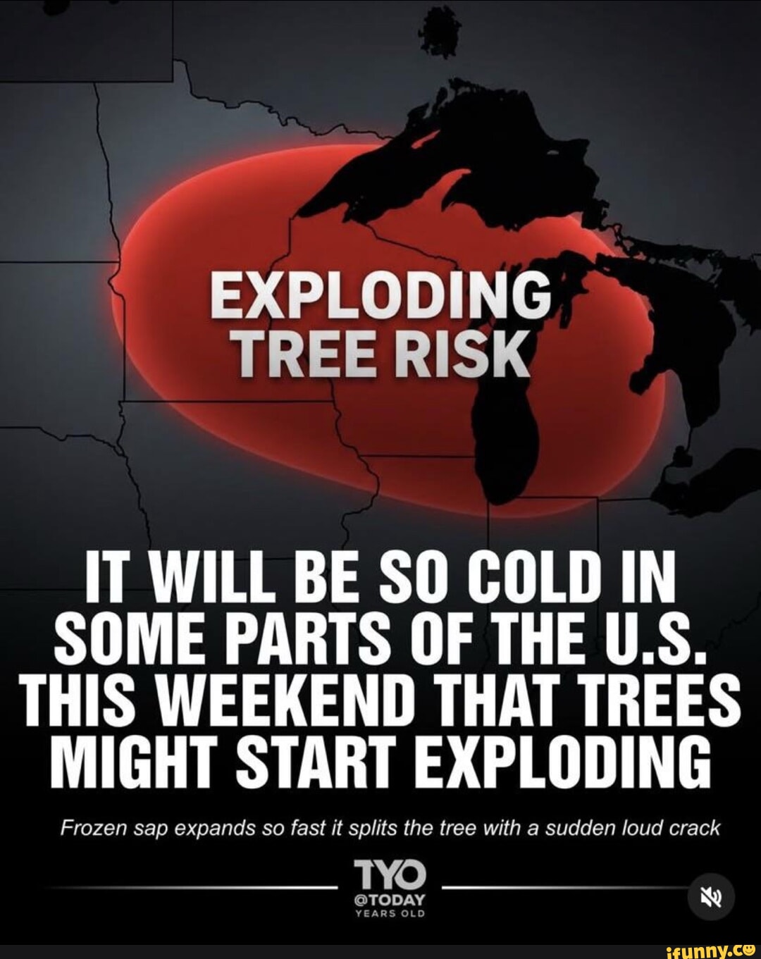 EXPLODING TREE RISK IT WILL BE SO COLD IN SOME PARTS OF THE U.S. THIS ...