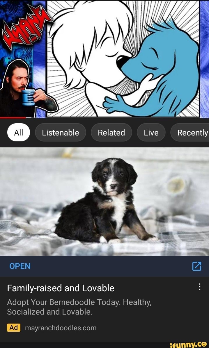 Bernedoodle memes. Best Collection of funny Bernedoodle pictures on iFunny