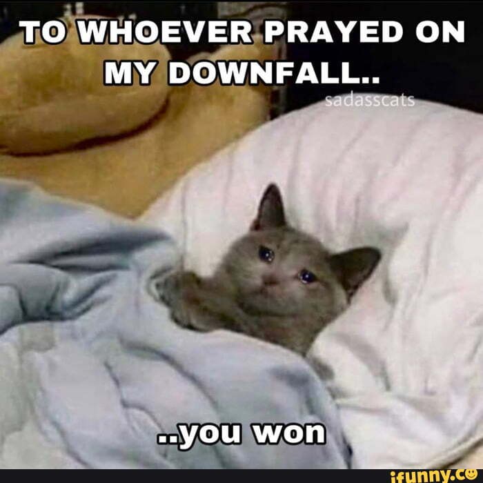 TO WHOEVER PRAYED ON MY DOWNFALL.. ..you won - iFunny