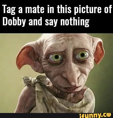 Dobby Has No Master Meme