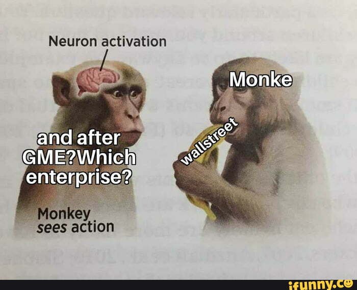 Neuron activation and after enterprise? Monkey Sees action - iFunny