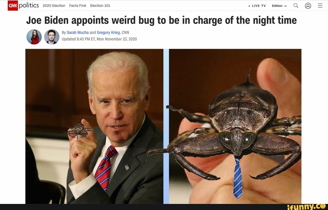 Cow LIVE TV edition Joe Biden appoints weird bug to be in charge of the ...