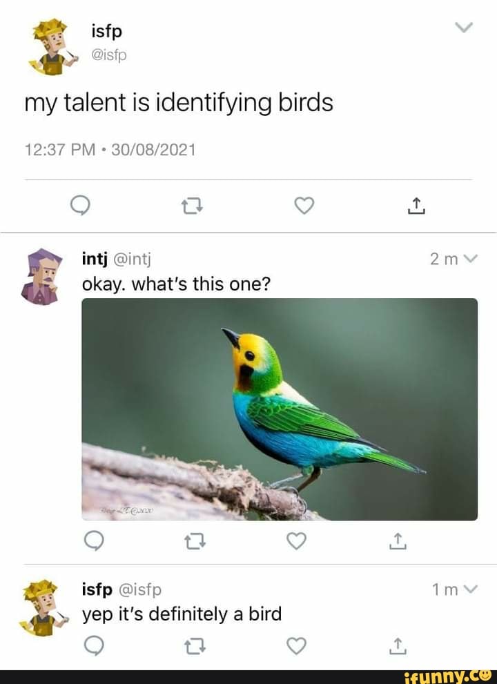 Isfp memes. Best Collection of funny Isfp pictures on iFunny