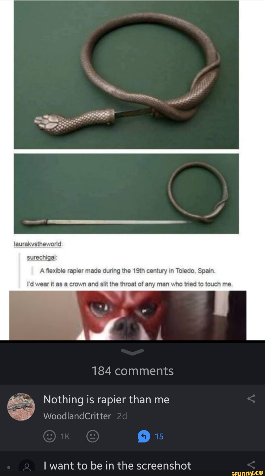 Laurakvstheworld surechigai A flexible rapier made during the 19th ...