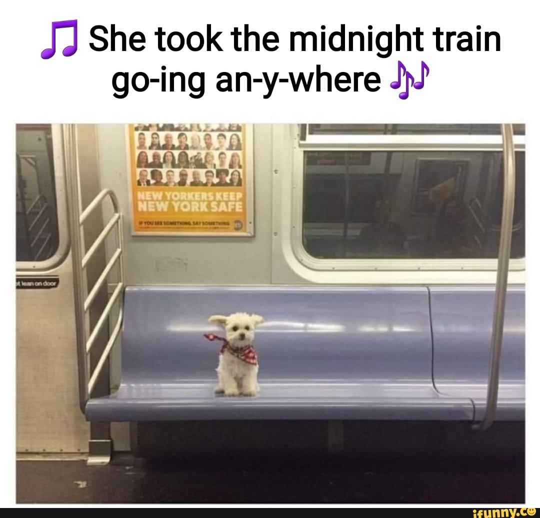 Jd She took the midnight train going an-y-where yr. - iFunny