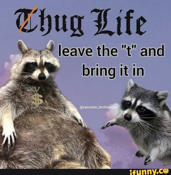 Chug Life leave the "t" and bring it in - iFunny