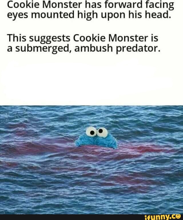 Cookie Monster has forward facing eyes mounted high upon his head. This ...
