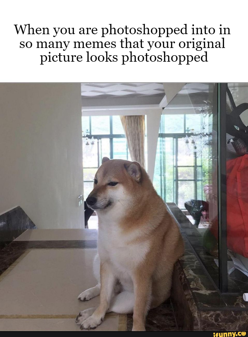 When you are photoshopped into in so many memes that your original ...