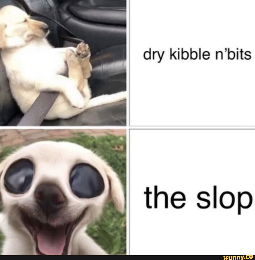 Kibble memes. Best Collection of funny Kibble pictures on iFunny