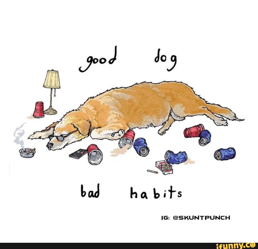 Bits memes. Best Collection of funny Bits pictures on iFunny