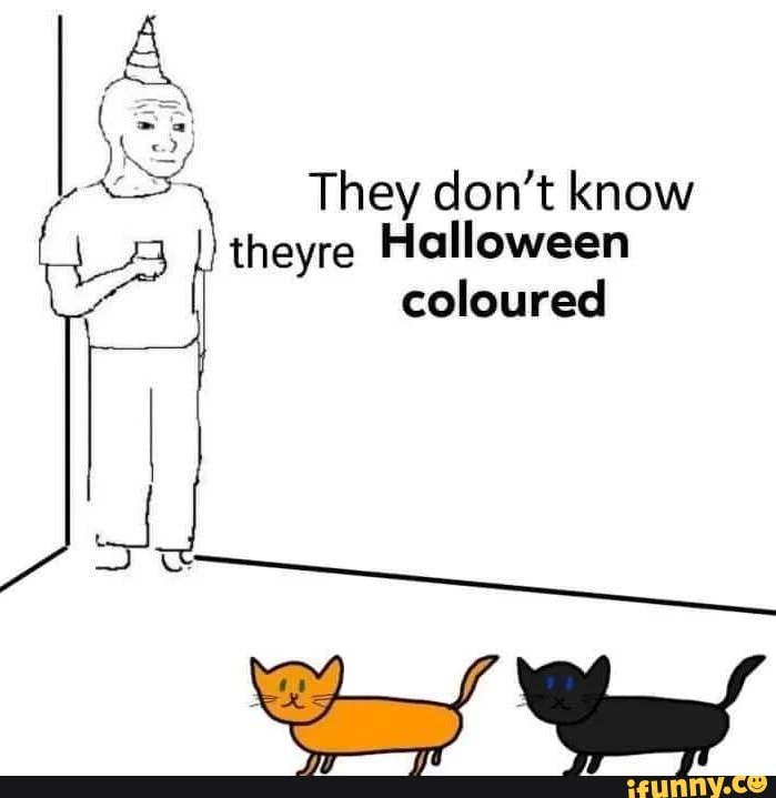 They don't know theyre Halloween coloured - iFunny