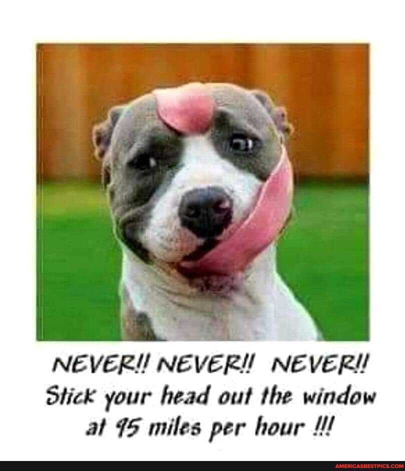 NEVER!! NEVER! NEVER!! Stick your head out the window al miles per hour ...