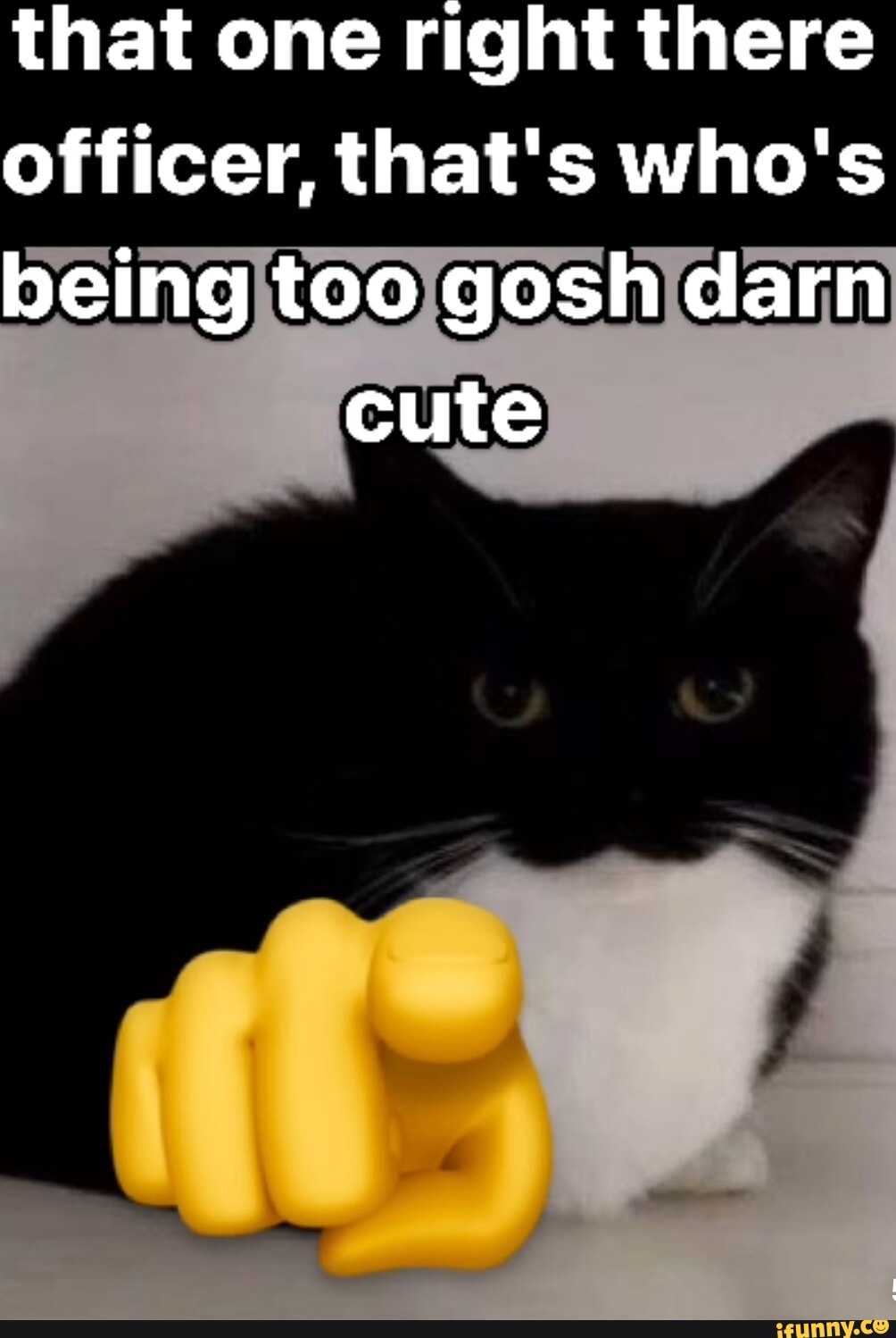 Officer memes. Best Collection of funny Officer pictures on iFunny