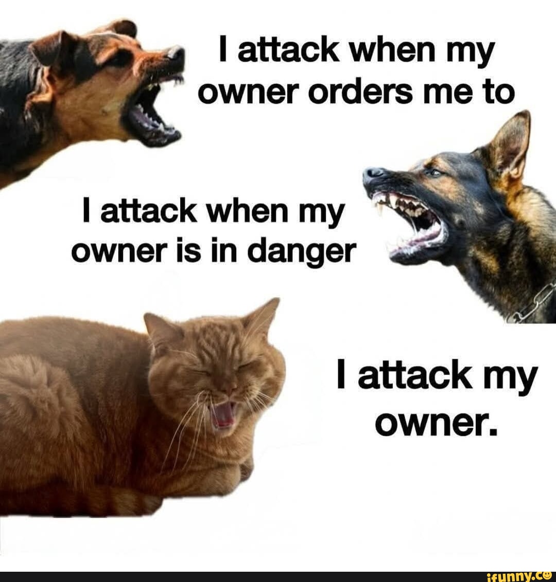 I attack when my owner orders me to if I attack when my owner is in ...