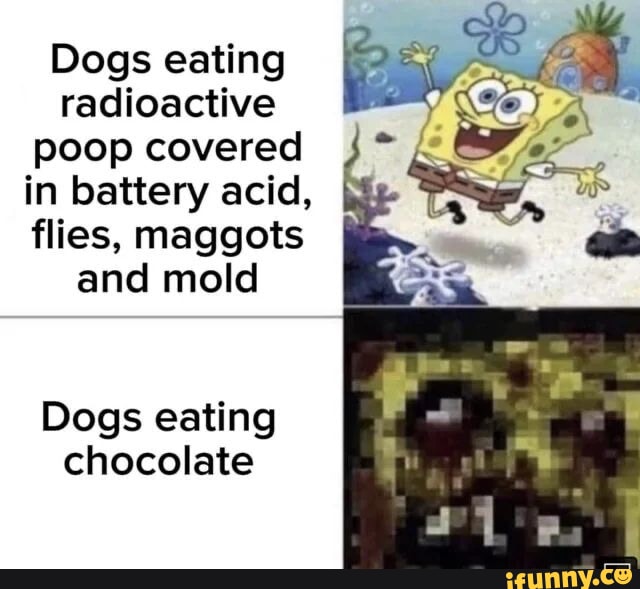 Dogs eating radioactive poop covered in battery acid, flies, maggots ...