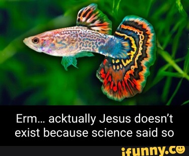 Acktually memes. Best Collection of funny Acktually pictures on iFunny