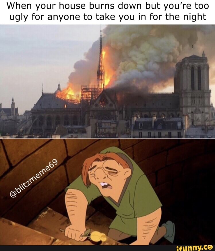 #memes #funny #triggered #offensive #notre_dame #hunchback_of_notre ...
