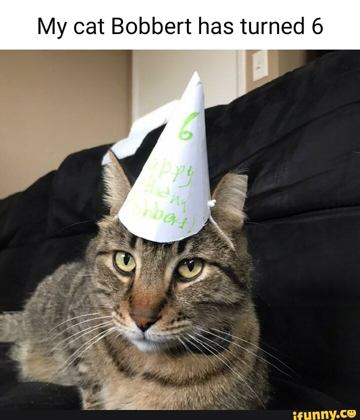 Bobbert memes. Best Collection of funny Bobbert pictures on iFunny
