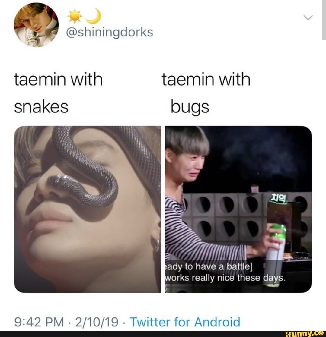 Taemin With taemin with snakes bugs - iFunny