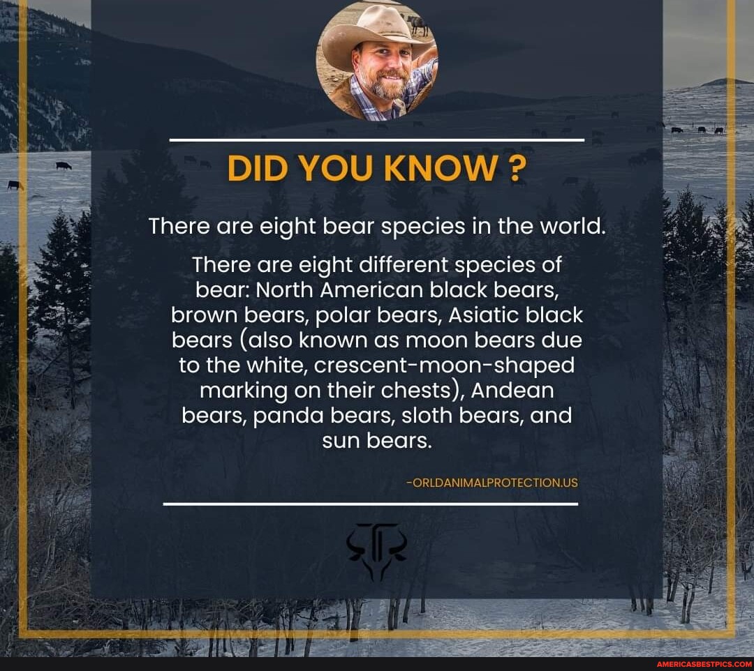 DID YOU KNOW ? There are eight bear species in the world. There are ...
