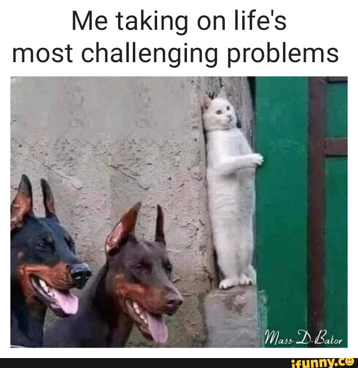 Bator memes. Best Collection of funny Bator pictures on iFunny