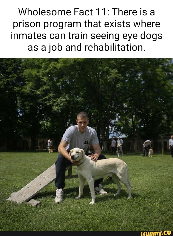 Rehabilitation memes. Best Collection of funny Rehabilitation pictures ...