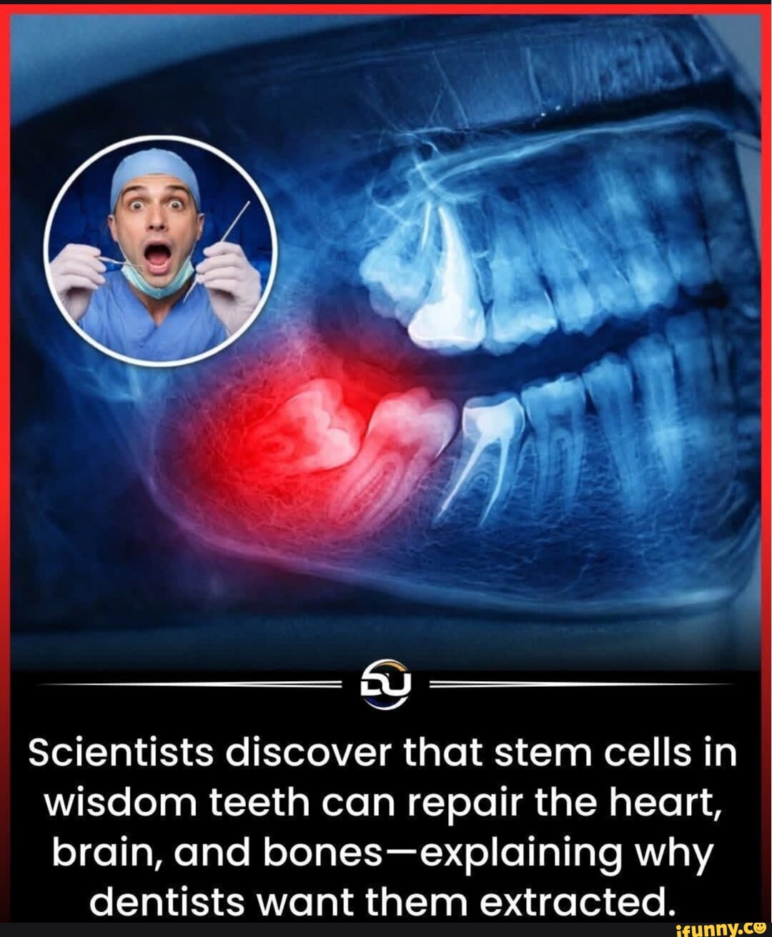 iFunny - the best memes, video, gifs and funny pics in one place