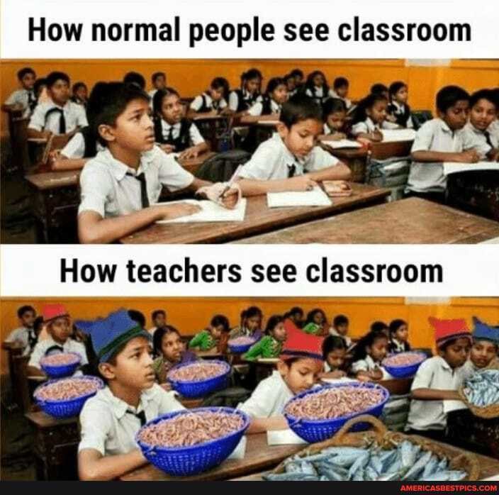 How normal people see classroom Ac - America’s best pics and videos