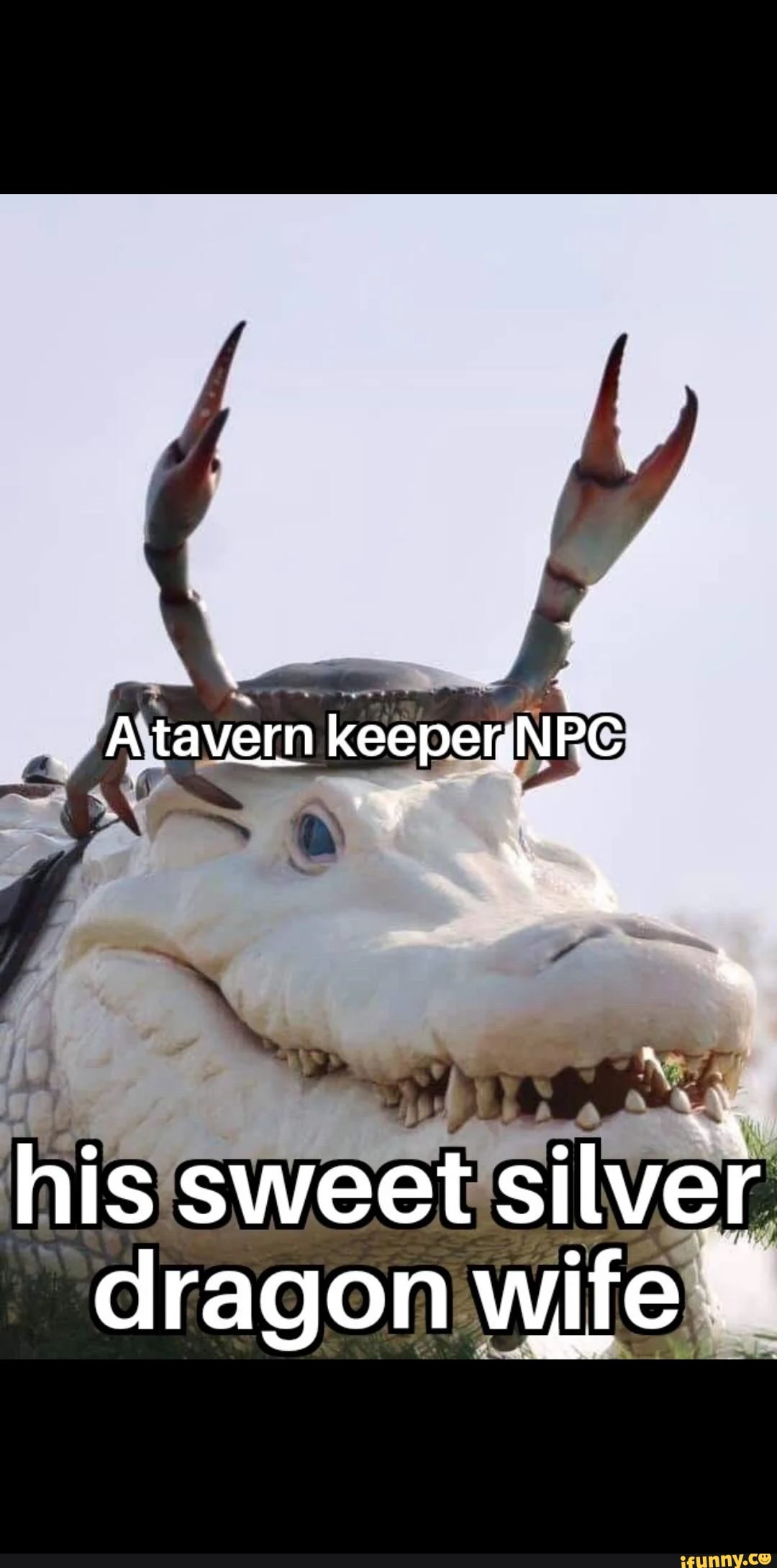 A tavern keeper, NPC his sweet silvey dragon wife * - iFunny