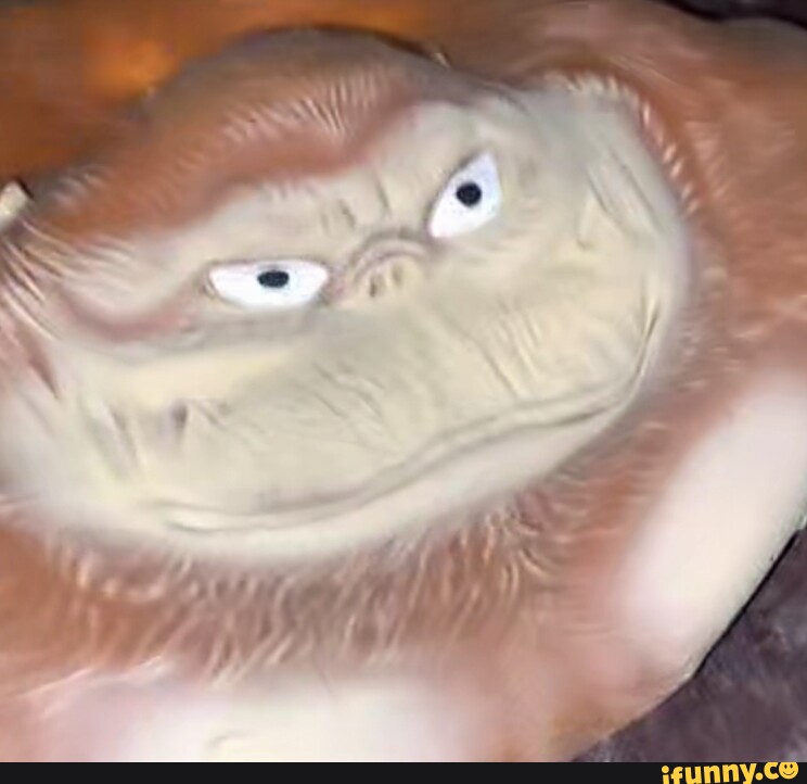 Monky memes. Best Collection of funny Monky pictures on iFunny