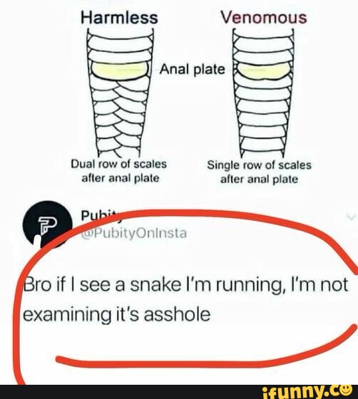 Venomous memes. Best Collection of funny Venomous pictures on iFunny