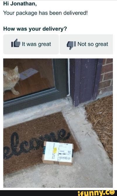 Here’s a small cat meme dump to brighten your day! - Hi Jonathan, Your ...