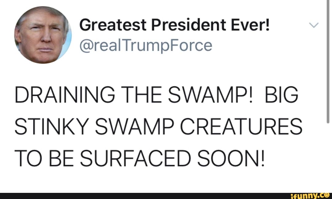 DRAINING THE SWAMP! BIG STINKY SWAMP CREATURES TO BE SURFACED SOON ...
