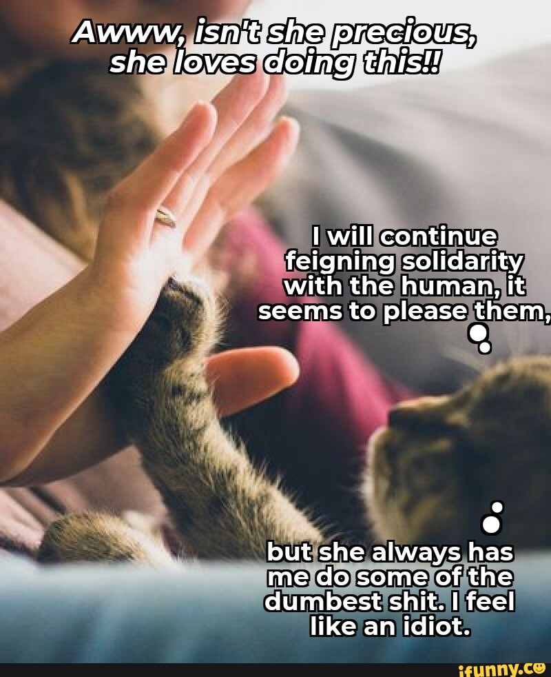 Feigning memes. Best Collection of funny Feigning pictures on iFunny