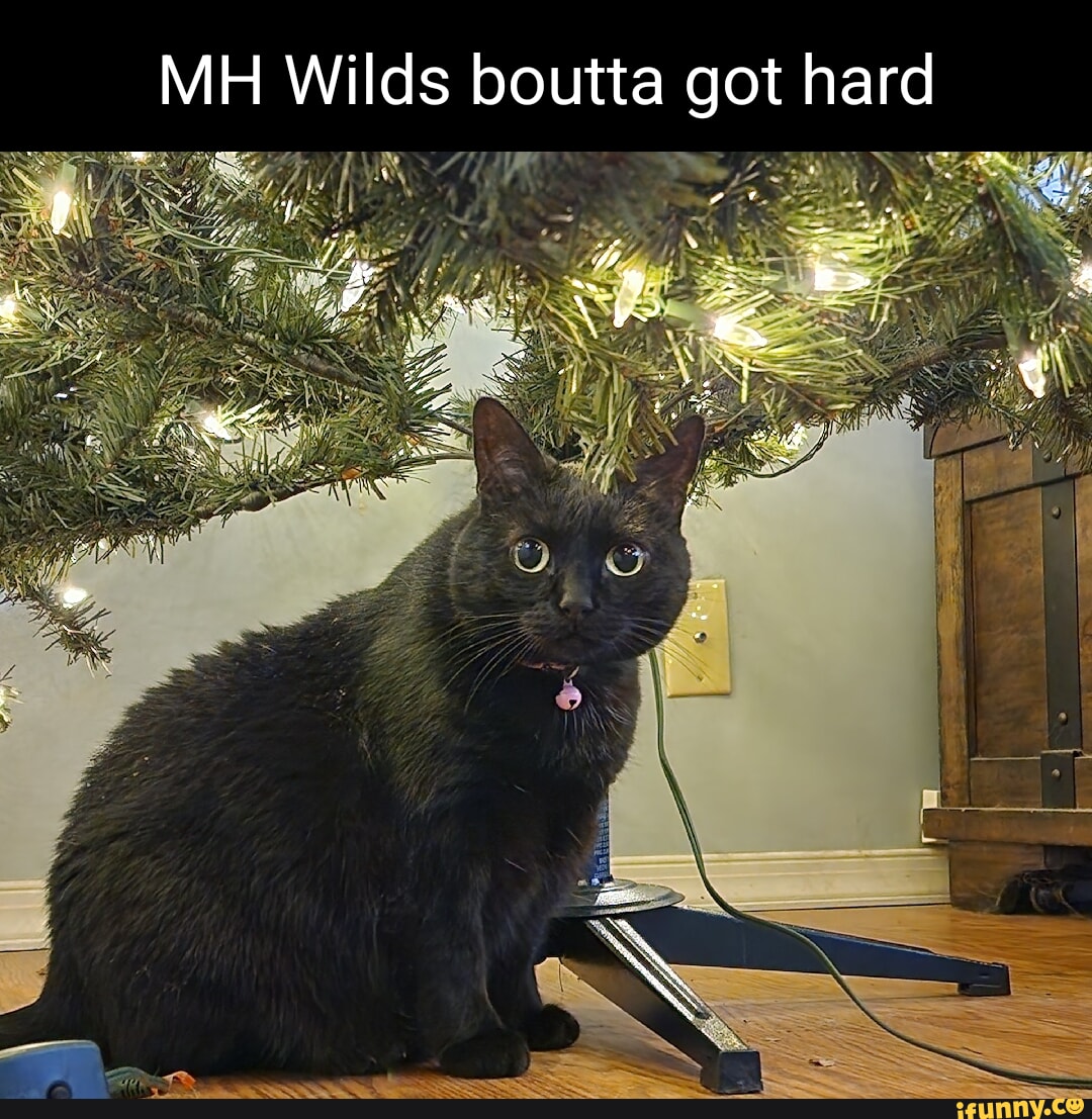 Mhwilds memes. Best Collection of funny Mhwilds pictures on iFunny