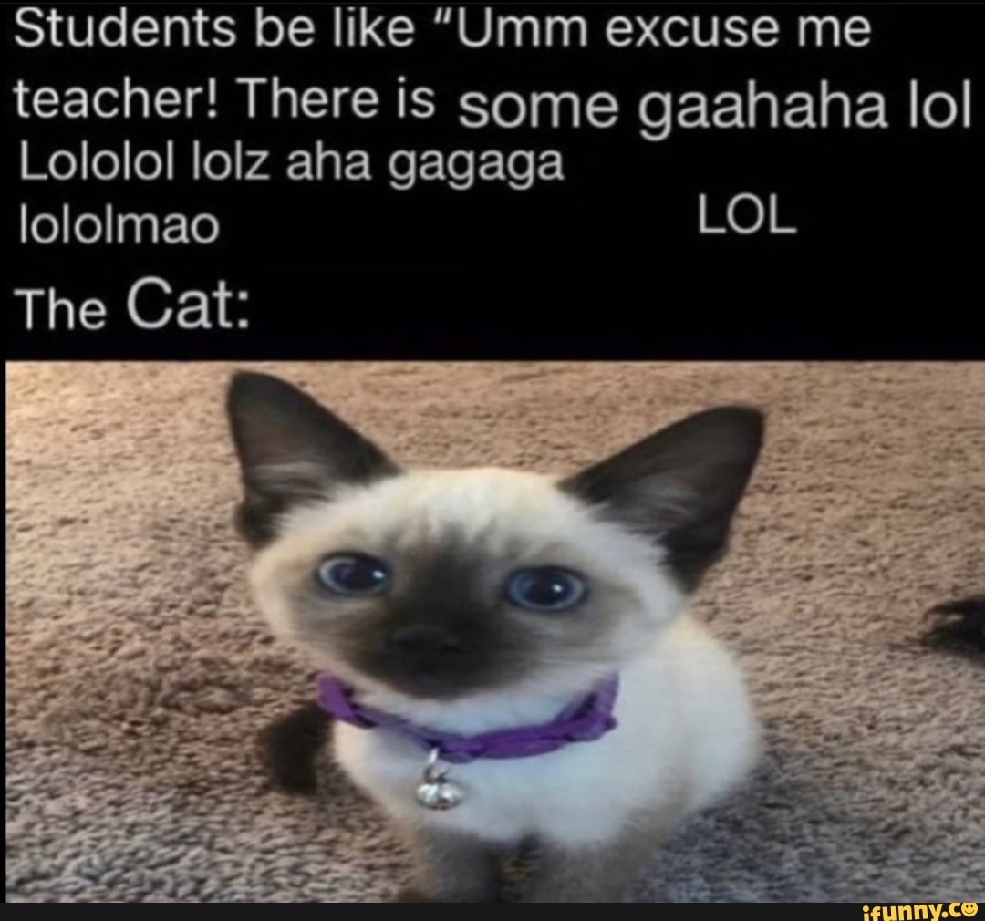 Gagaga Memes Best Collection Of Funny Gagaga Pictures On Ifunny
