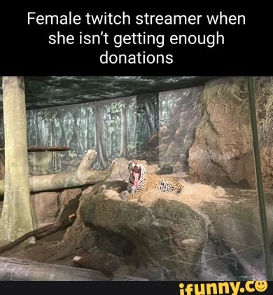 Streamer memes. Best Collection of funny Streamer pictures on iFunny