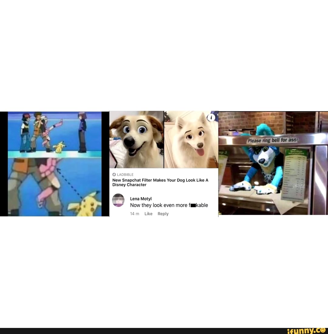 Motyl memes. Best Collection of funny Motyl pictures on iFunny