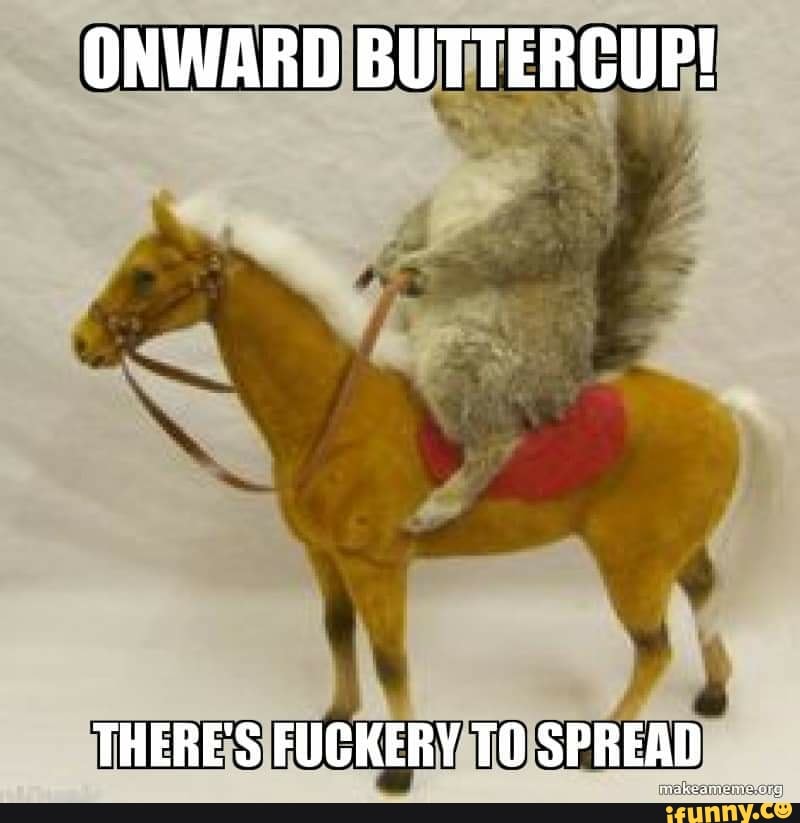 ONWARD BUTTERCUP! THERE'S FUCKERY TO SPREAD - iFunny