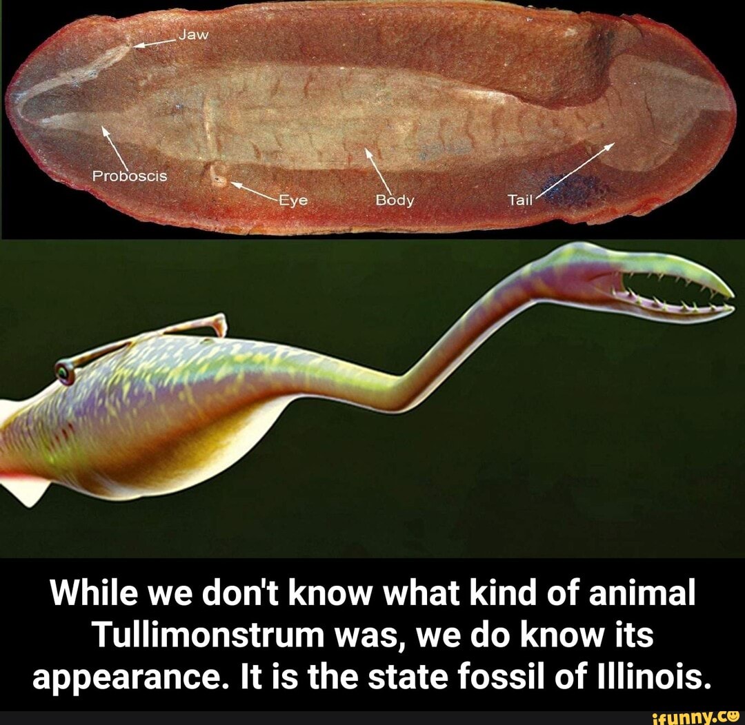Tullymonster memes. Best Collection of funny Tullymonster pictures on ...