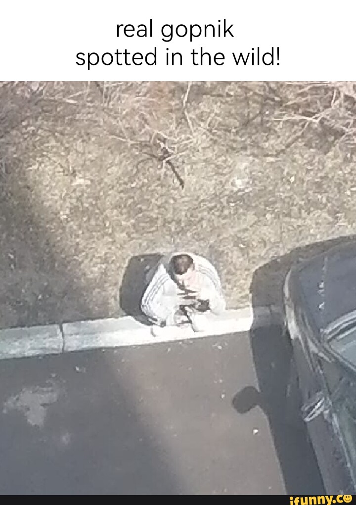 Real gopnik spotted in the wild! - iFunny