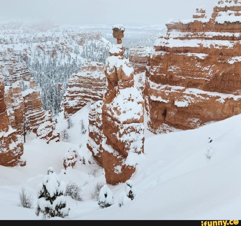 Bryce memes. Best Collection of funny Bryce pictures on iFunny