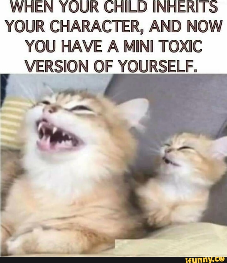 On a scale of guinea pig, how are you feeling today? - iFunny