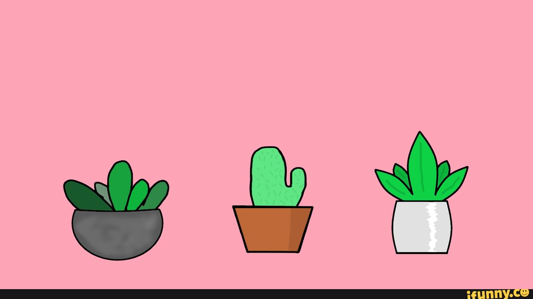 Lil' plants Also, this won't arrange correctly for some reason, so ...