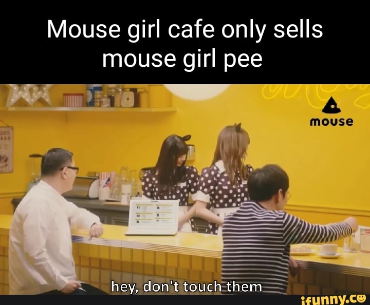 Mouse girl cafe only sells mouse girl pee hey, don't touch them - iFunny